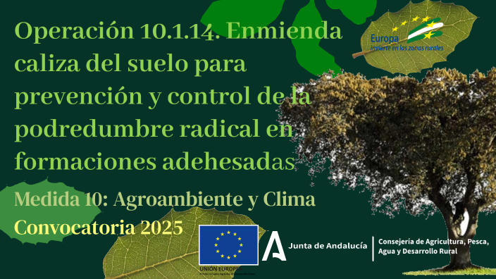 Operación 10.1.14. Enmienda caliza del suelo para prevención y control ...