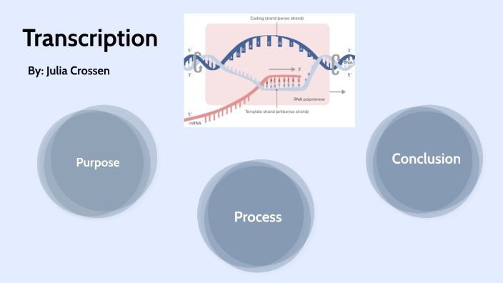 Transcription in detail by julia crossen on Prezi
