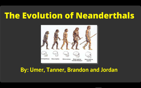 The Evolution of Neanderthals by Umer Arif on Prezi