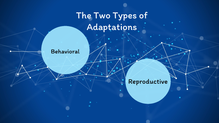 Module Eleven Lesson Two Pathway Three Activity by serena zheng on Prezi