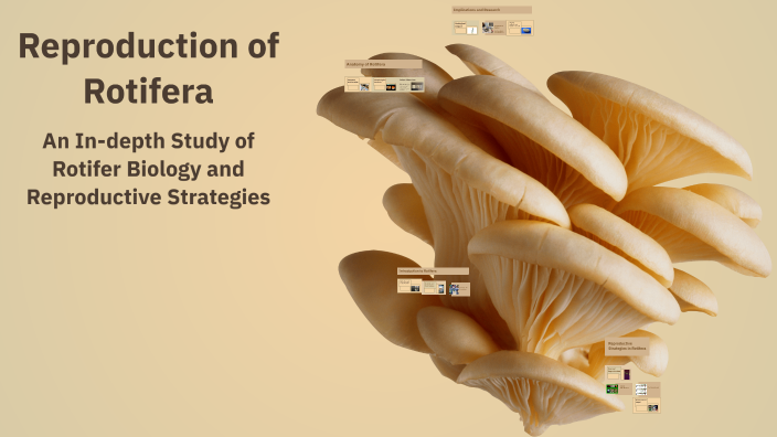 Reproduction of Rotifera by farnaz Fereshtehpour on Prezi