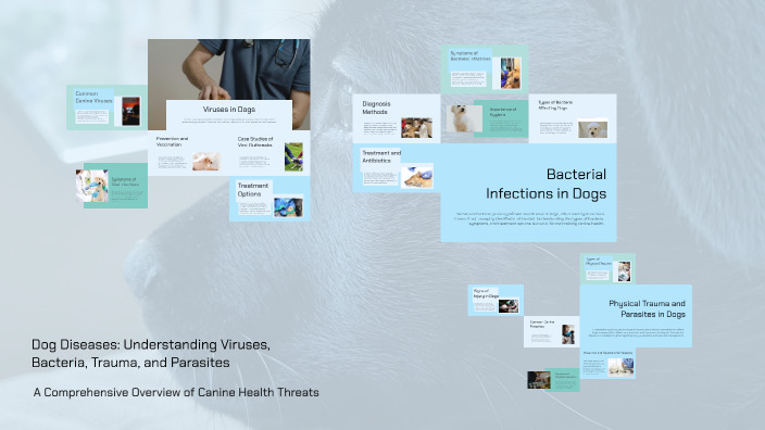 Dog Diseases: Understanding Viruses, Bacteria, Trauma, and Parasites by ...