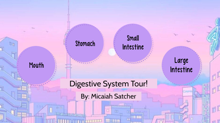 Digestive Tour by Micaiah Satcher on Prezi