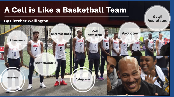 A Cell is like a Basketball Team by Fletcher Wellington on Prezi