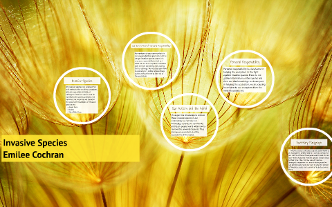 Invasive Species by Emilee Cochran on Prezi
