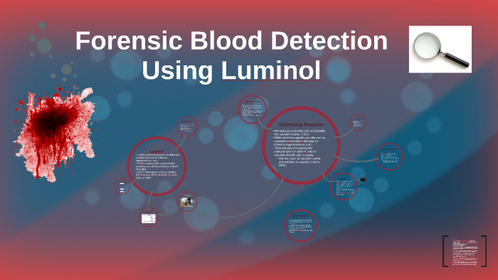 Forensic Blood Detection Using Luminol by Kaitlyn Simpson on Prezi