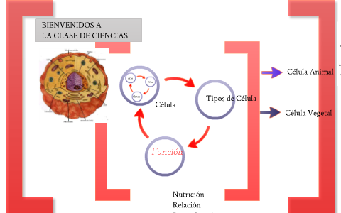 Bienvenida a la Clase de Ciencias Naturales by Katherine Montaña on Prezi