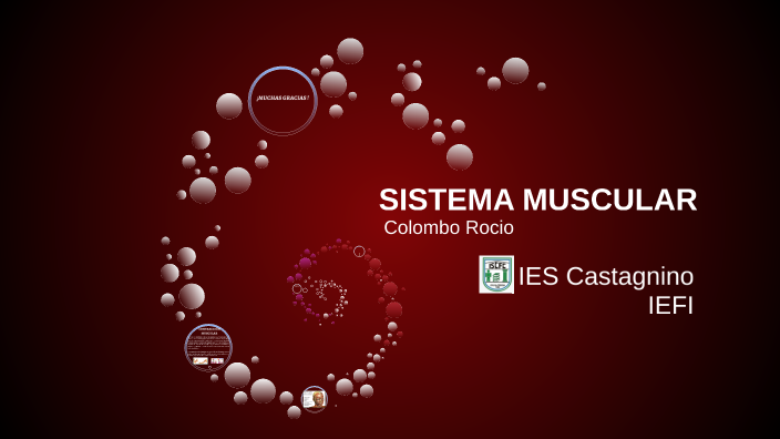 SISTEMA MUSCULAR by rocio colombo on Prezi