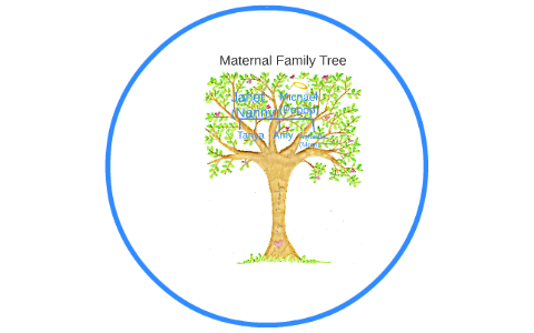 Maternal Family Tree by Bella Haught on Prezi