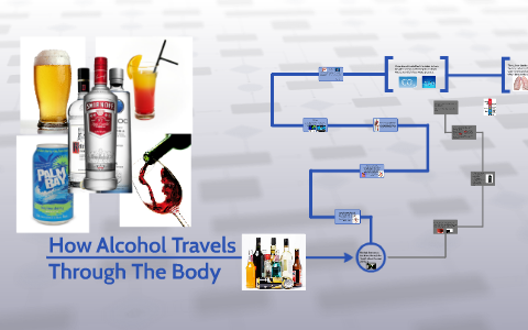 How Alcohol Travels by Lauren Martinolich