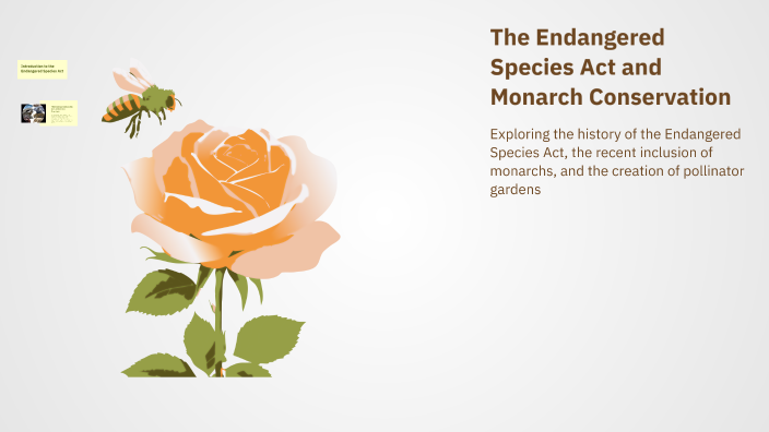 The Endangered Species Act and Monarch Conservation by Kay Simms on Prezi