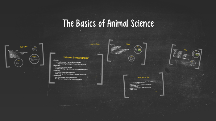 The Basics of Animal Science by Abbey Baker on Prezi