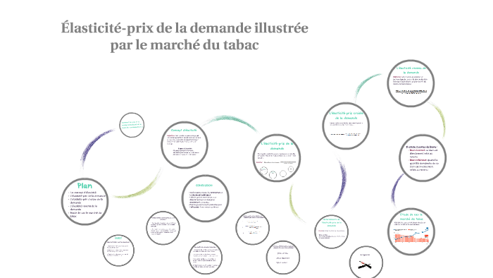 Elasticité-prix de la demande by Léa Claeyman on Prezi