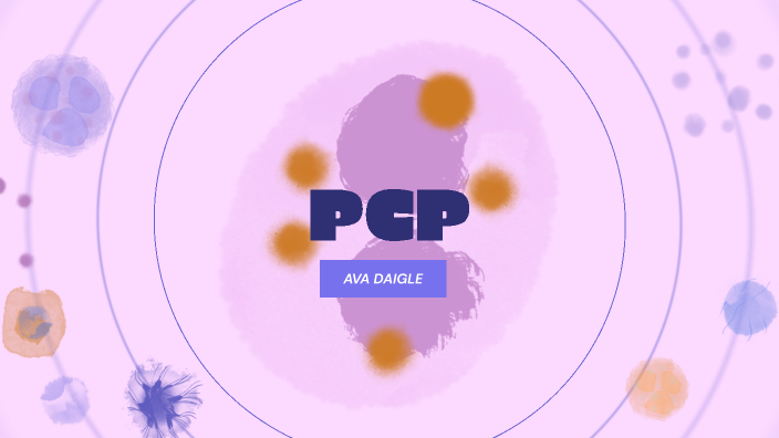 PCP by ava daigle on Prezi