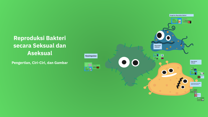 Reproduksi Bakteri secara Seksual dan Aseksual by Arifah Naura on Prezi