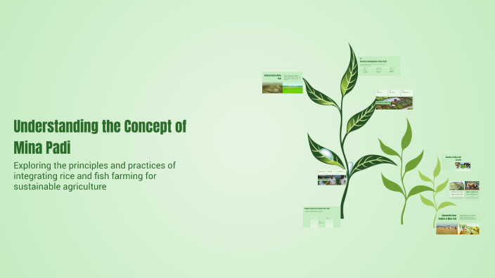 Understanding the Concept of Mina Padi by Fakhri Mufti Putra Maksudi on ...