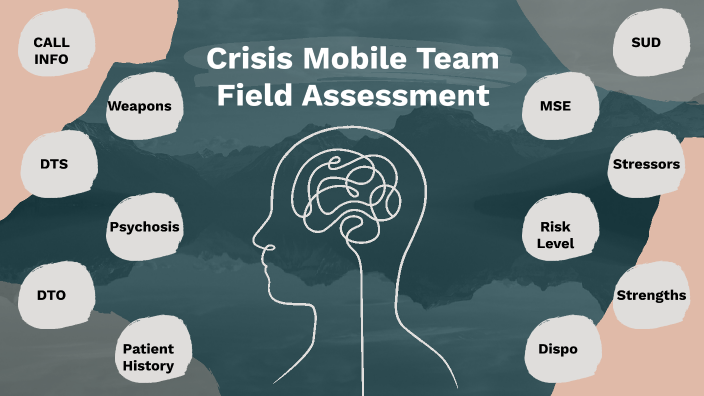 Crisis Mobile Team Field Assessment by Christian Thornton on Prezi