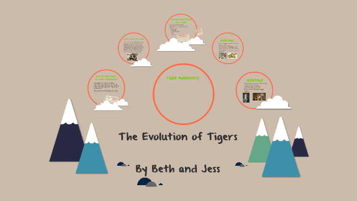 The Evolution of Tigers by bethany olszewski on Prezi