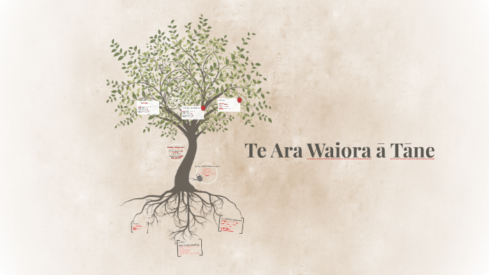 Te Ara Waiora ā Tāne by Whetu Campbell on Prezi