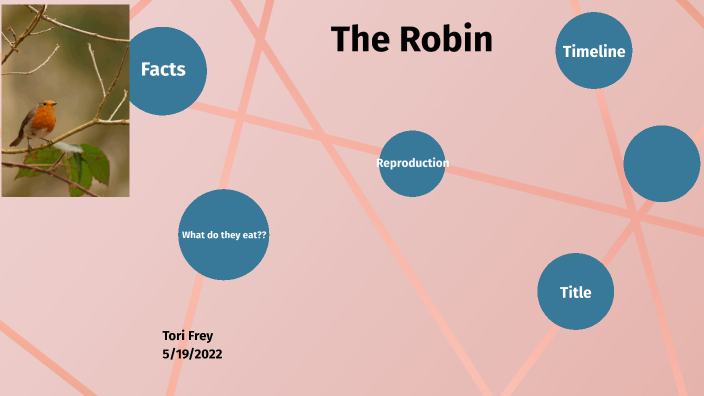 The Robin by Victoria Frey on Prezi
