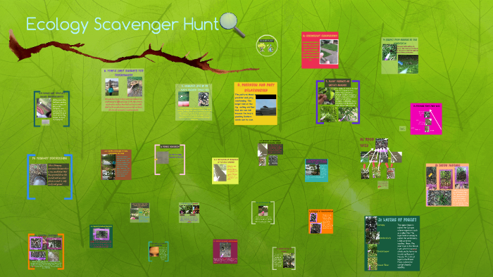 Ecology Scavenger Hunt by Janki Patel on Prezi