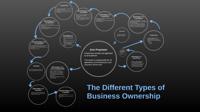 The Different Types of Business Ownership by Said Nassor on Prezi