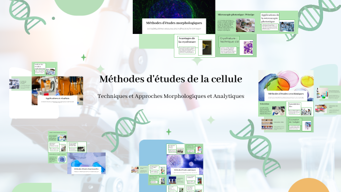 Méthodes d'études de la cellule by koukou sh on Prezi