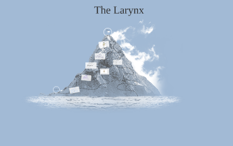 The Larynx by Jesus Loya on Prezi