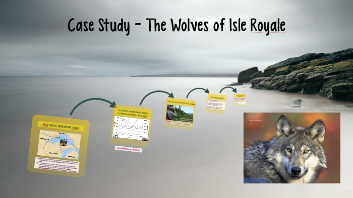 Case Study - The Wolves of Isle Royale by Jennifer Johansen on Prezi