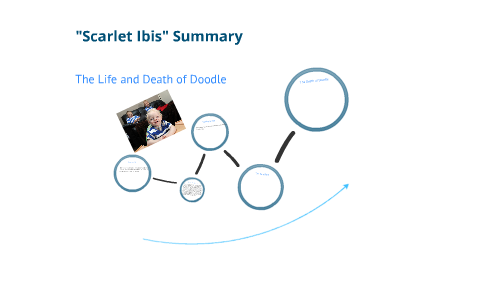 Scarlet Ibis Summary by Angela Spencer on Prezi