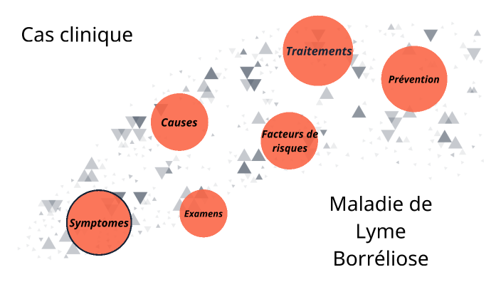 maladie de lyme by Lola Deniau on Prezi