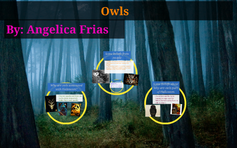 Owls by Angelica Frias on Prezi