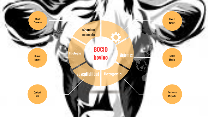 BOCIO BOVINO by JOE ABIMAEL LLORI BAZURTO on Prezi