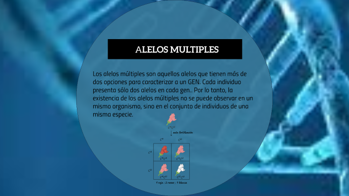Alelos múltiples y grupos sanguíneos by Diego Paula de los Santos on Prezi