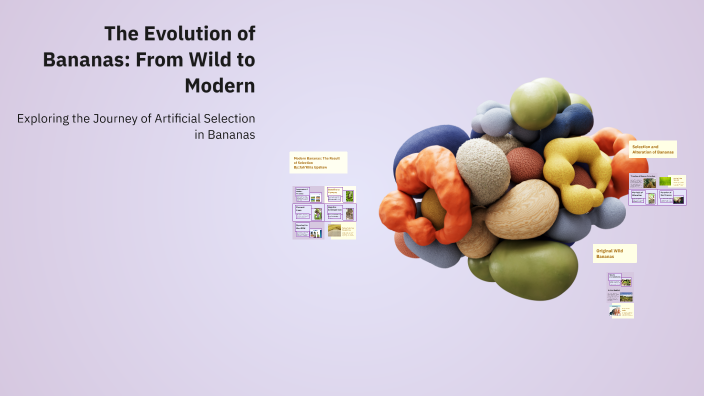 The Evolution of Bananas: From Wild to Modern-Jahkhia Upshaw by Jahkhia ...