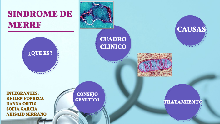 SINDROME DE MERRF by Danna Ortiz on Prezi