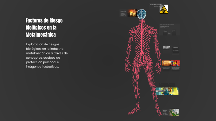 Factores de Riesgo Biológicos en la Metalmecánica by kevin Bulla on Prezi