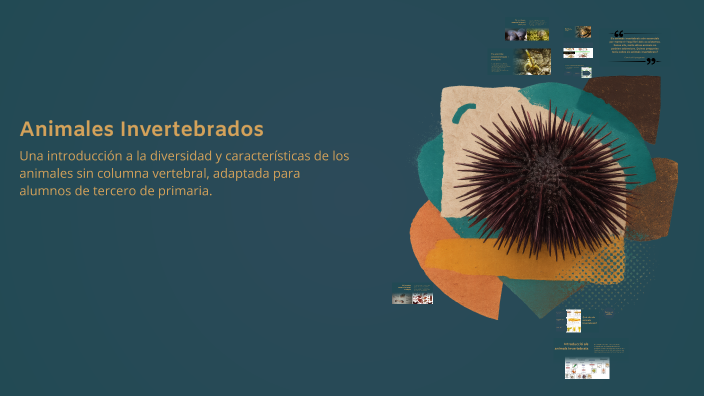 Animales Invertebrados by annabel carreño moreno on Prezi
