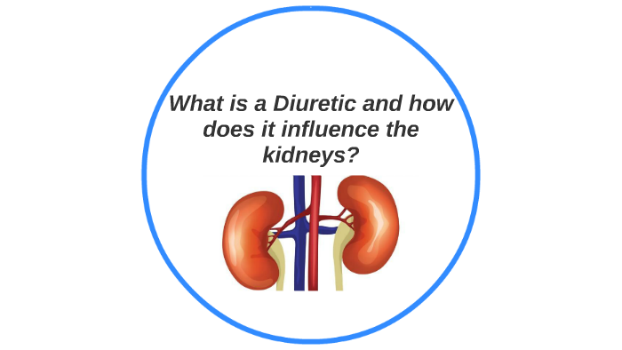 What is a Diuretic and how does it influence the kidneys? by Marcelo ...