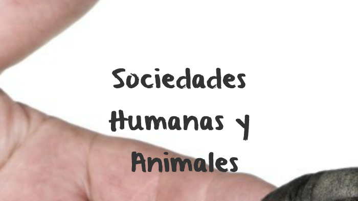 cap 6 sociedades humanas y sociedades animales by Daniel Bravo on Prezi