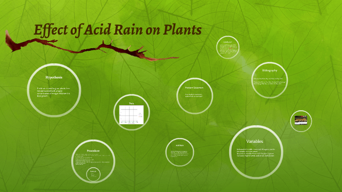 Effect of Acid Rain on Plants by Caleb Smith on Prezi