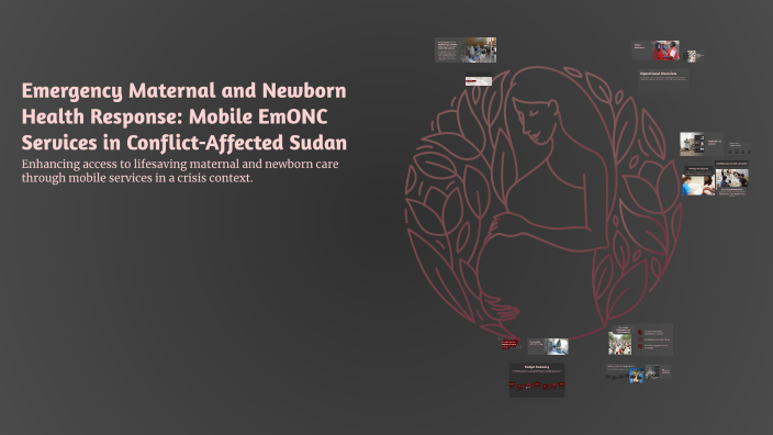 Emergency Maternal and Newborn Health Response: Mobile EmONC Services ...
