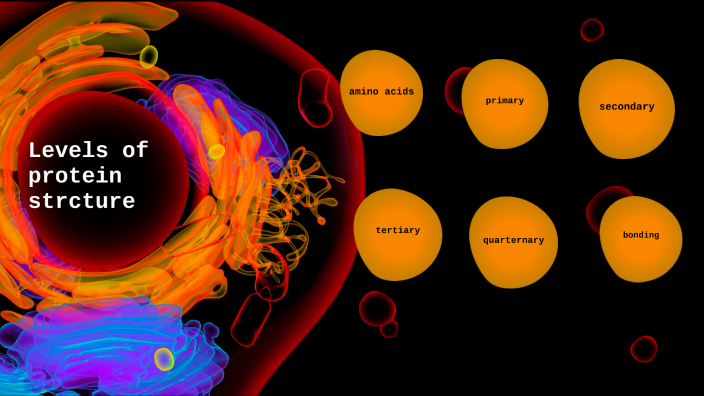 Levels of protein strcture by Ibrahim Mirza on Prezi