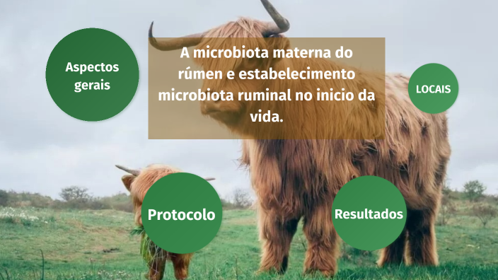 Microbiota ruminal by Willinton Hernan Pinchao Pinchao on Prezi
