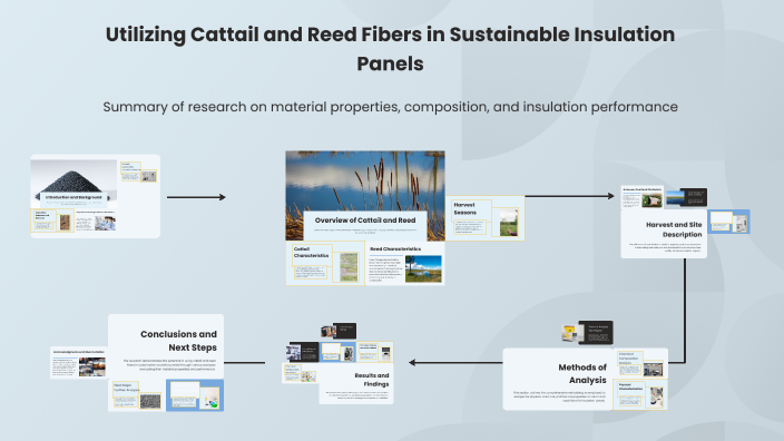 Utilizing Cattail and Reed Fibers in Sustainable Insulation Panels by ...