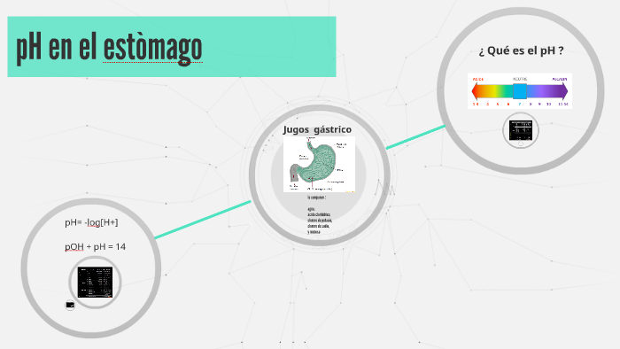 pH en el estómago by on Prezi