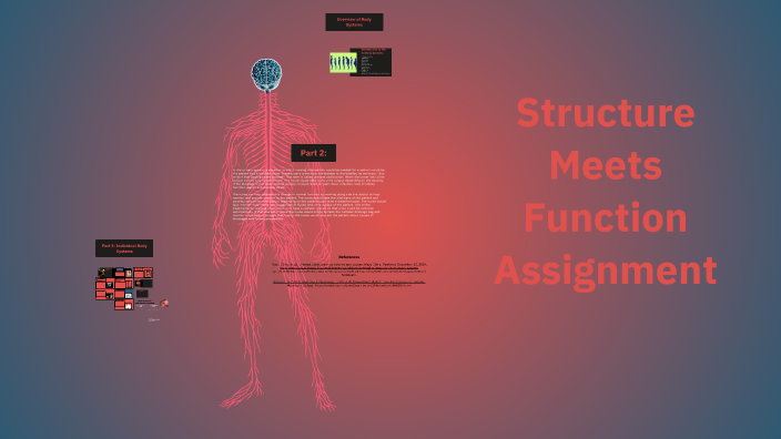 Structure Meets Function Assignment by Alexia Whitely on Prezi