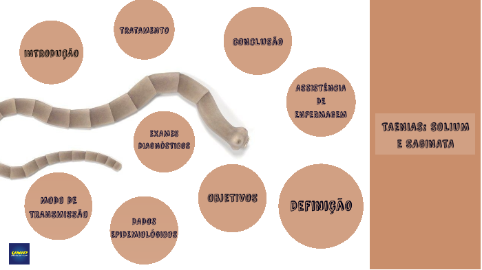 TAENIAS: SOLIUM SAGINATA by isabela lisboa on Prezi