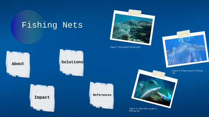 Fishing Nets: Biodegradable vs. Synthetic by Emma Resendez on Prezi