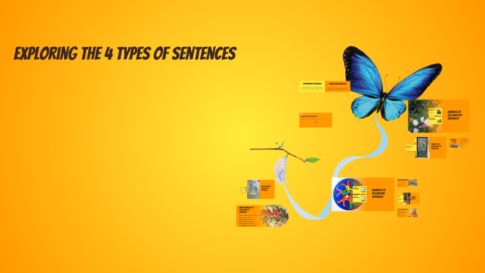 Exploring the 4 Types of Sentences with Butterflies by Teacher Robin on ...